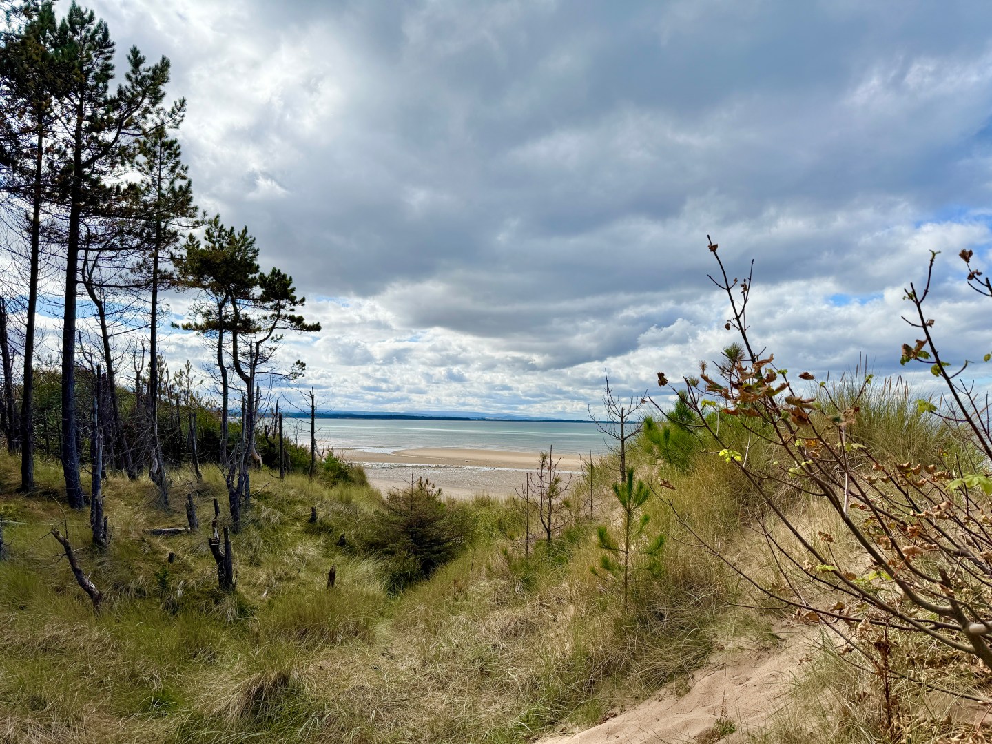 Happy Summer Memories… – Brian Goldsmith Photography